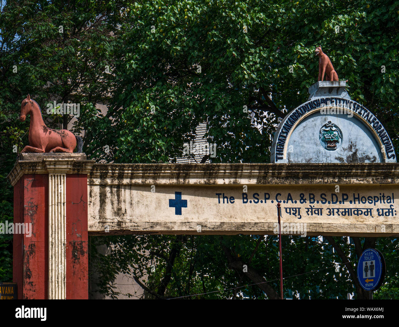 Stachu hi-res stock photography and images - Alamy