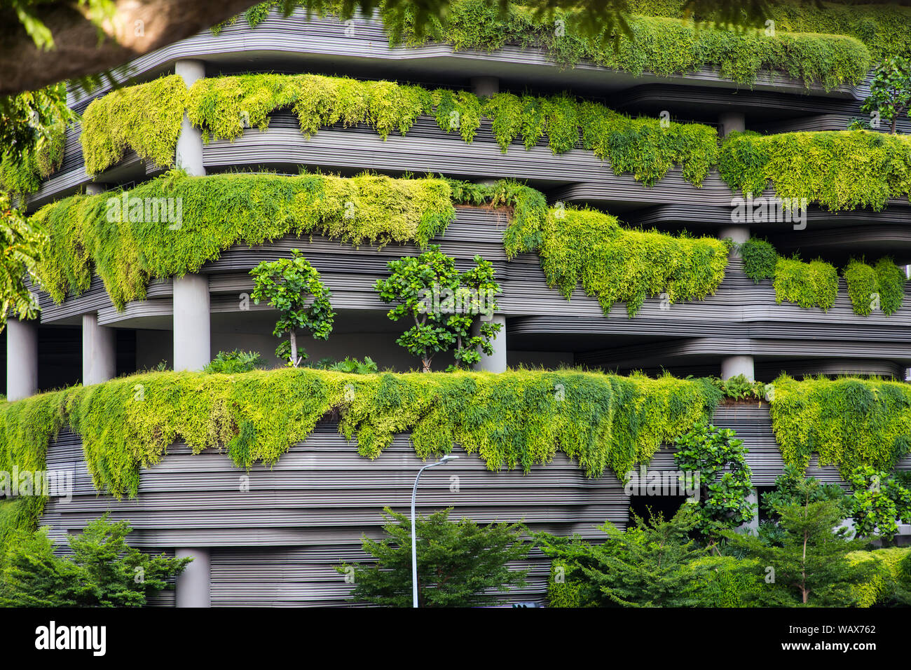 Terraces of vertical garden structure, Singapore Stock Photo - Alamy