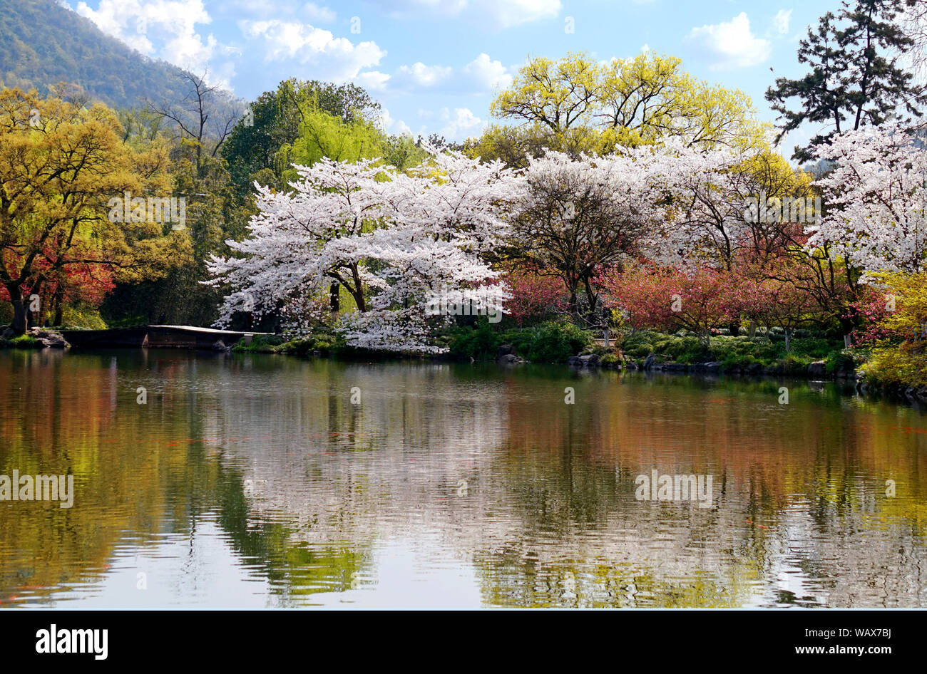 Lake under the blue sky Stock Photo - Alamy