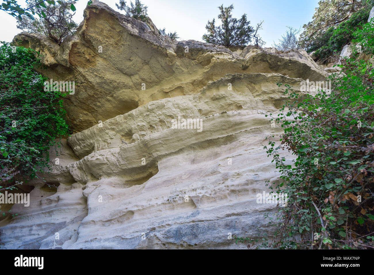 Rock forms and forest scenery. The white sandstone outcrops Stock Photo ...