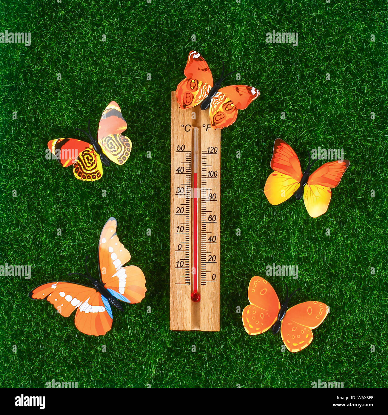 40 degree temperatures hi-res stock photography and images - Alamy