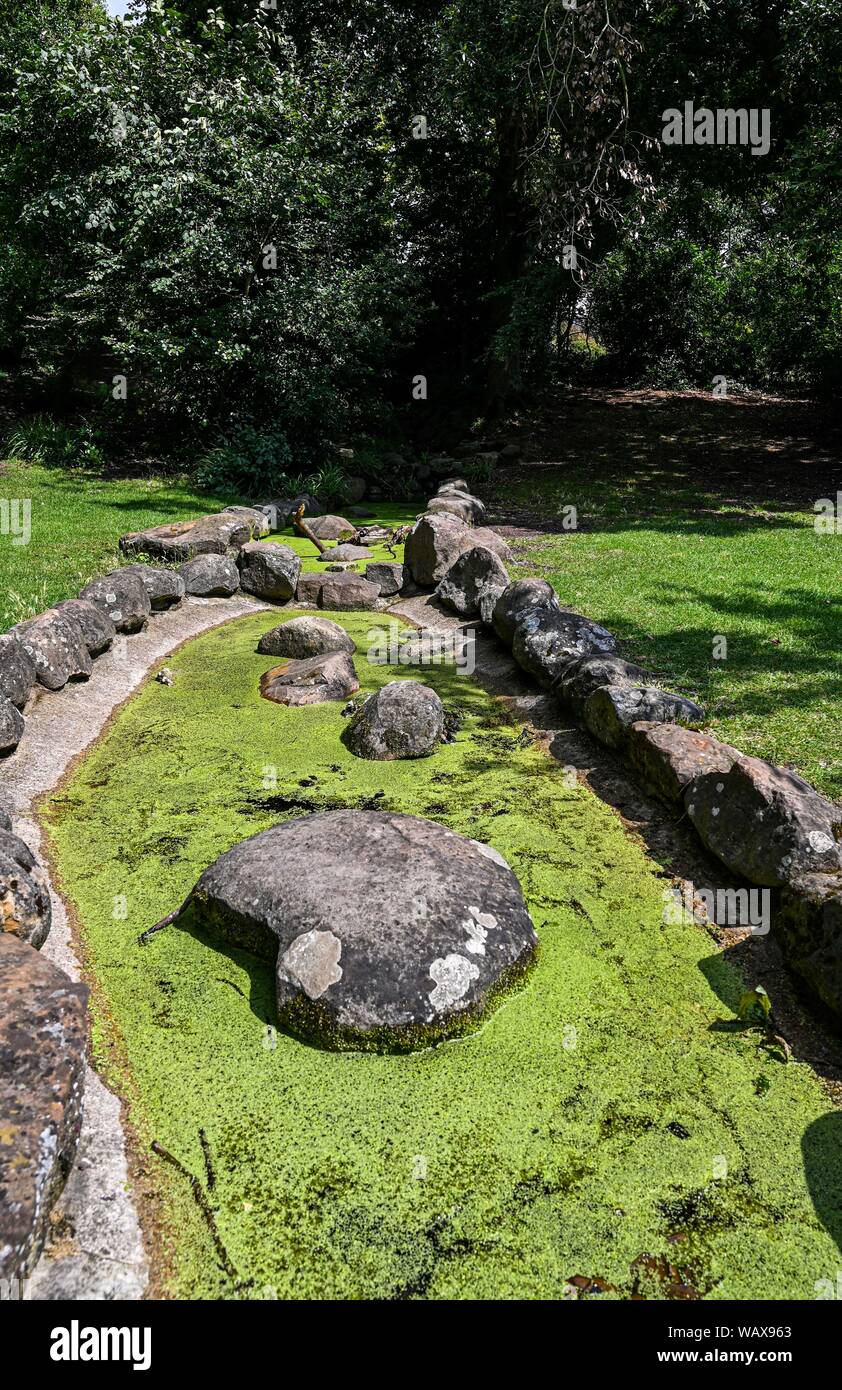 Queens Park Brighton stream with green algae Stock Photo - Alamy