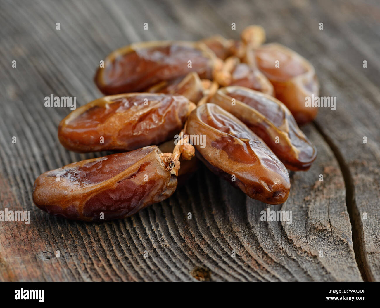Dried dates on branch hi-res stock photography and images - Alamy