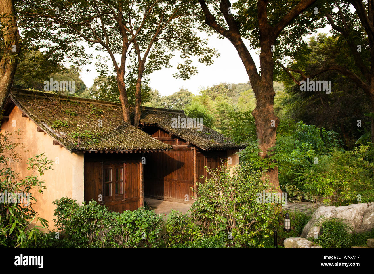 AUG 18, Hangzhou, China : Chinese old local country house under big ...