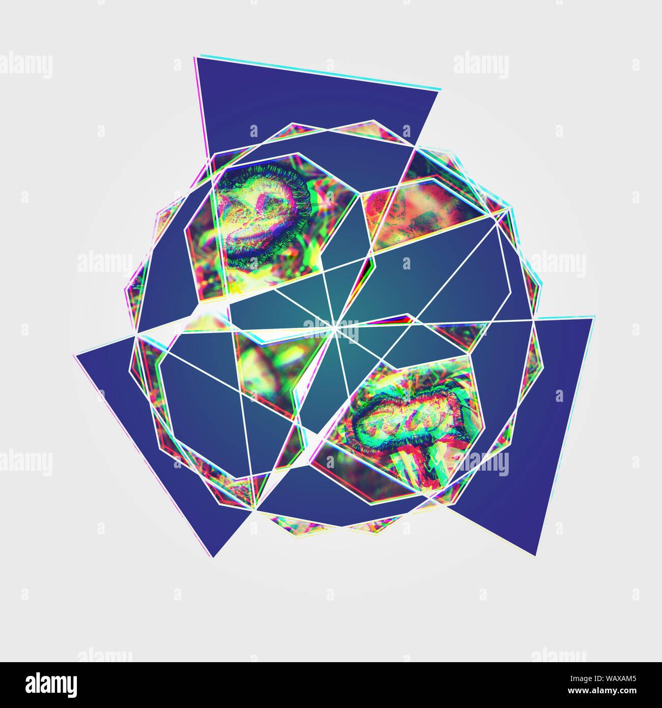 Stylized photo collage with toxic, poisonous mushroom Stock Photo - Alamy