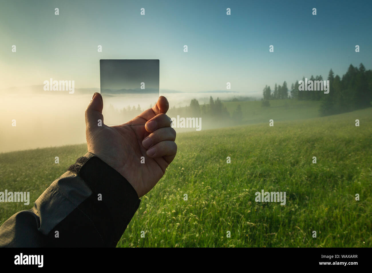 Gradient filter in the hand of a photographer against the backdrop of a ...
