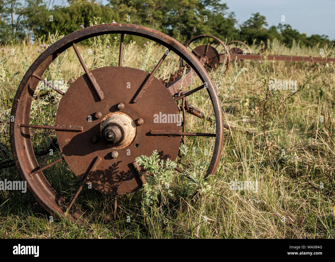 Old rusty wheels of agricultural machinery abandoned in dry grass Stock ...