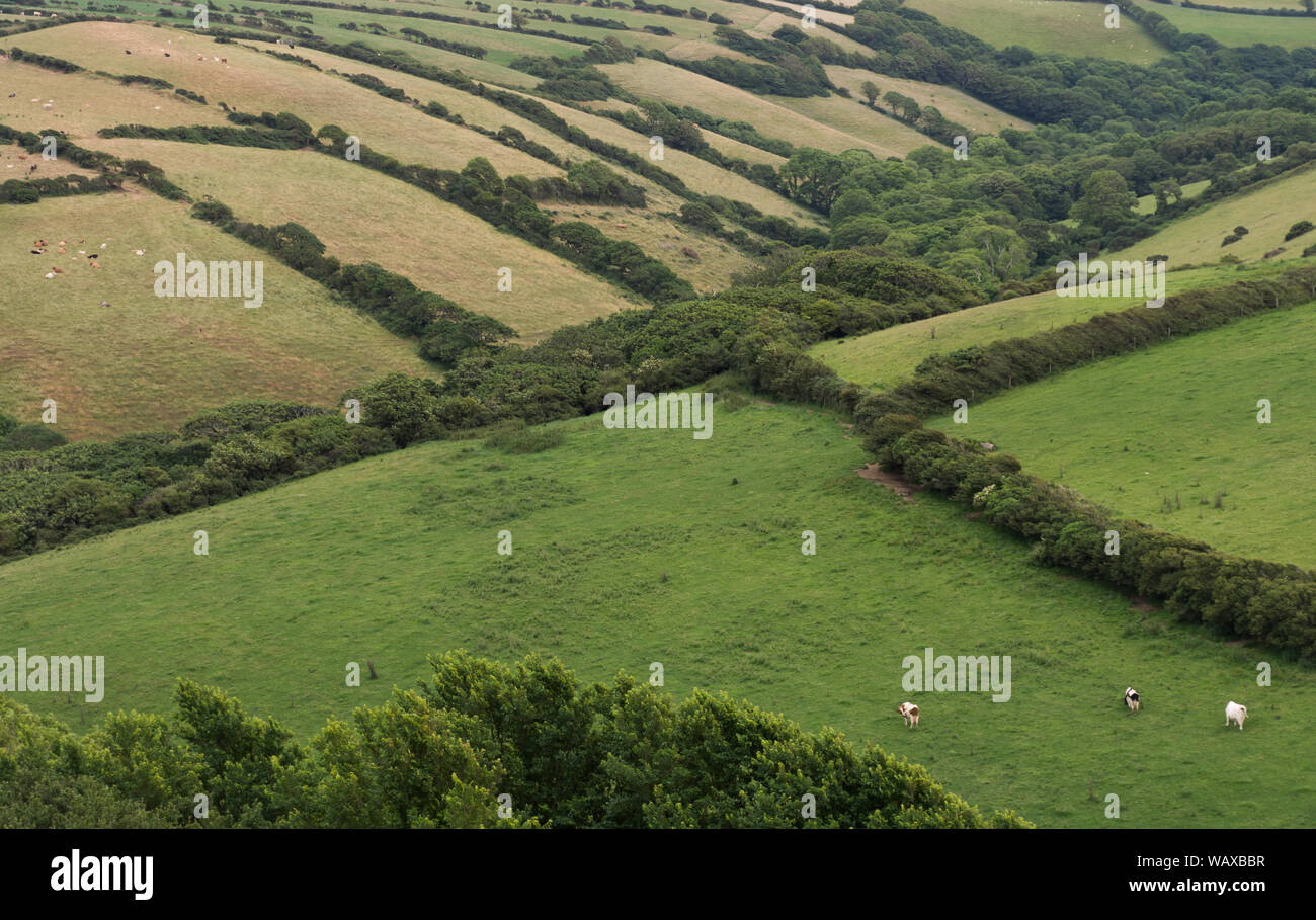 Fields in Cornwall Stock Photo - Alamy