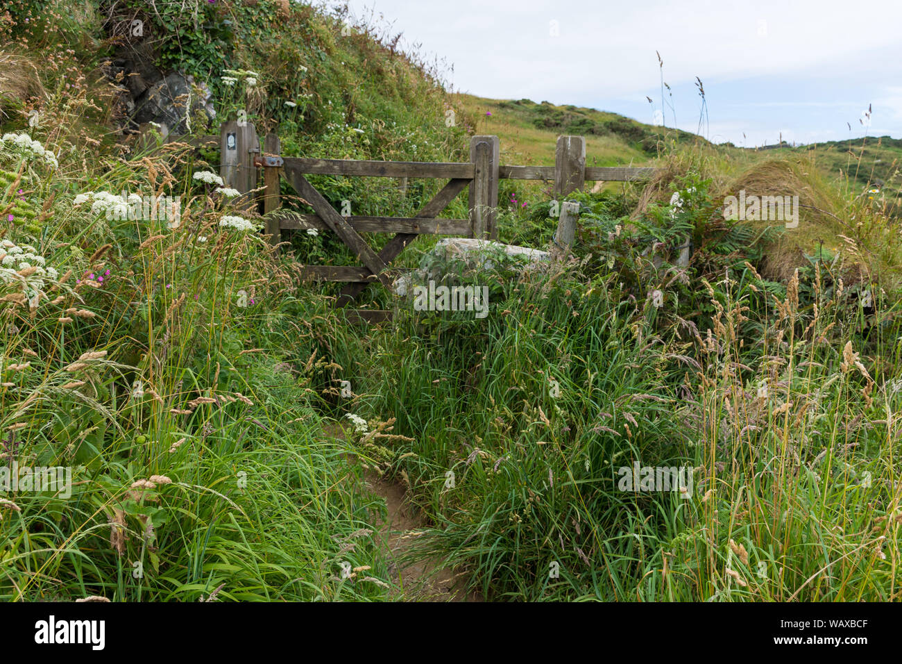 Footpath to gate hi-res stock photography and images - Alamy
