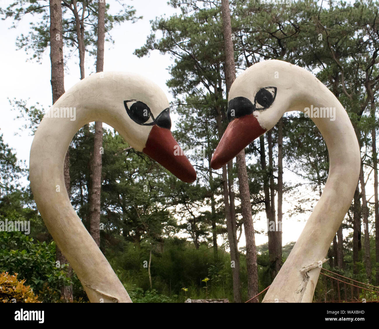 June 5, 2019-Baguio City Philippines : Botanical Garden in Baguio ...