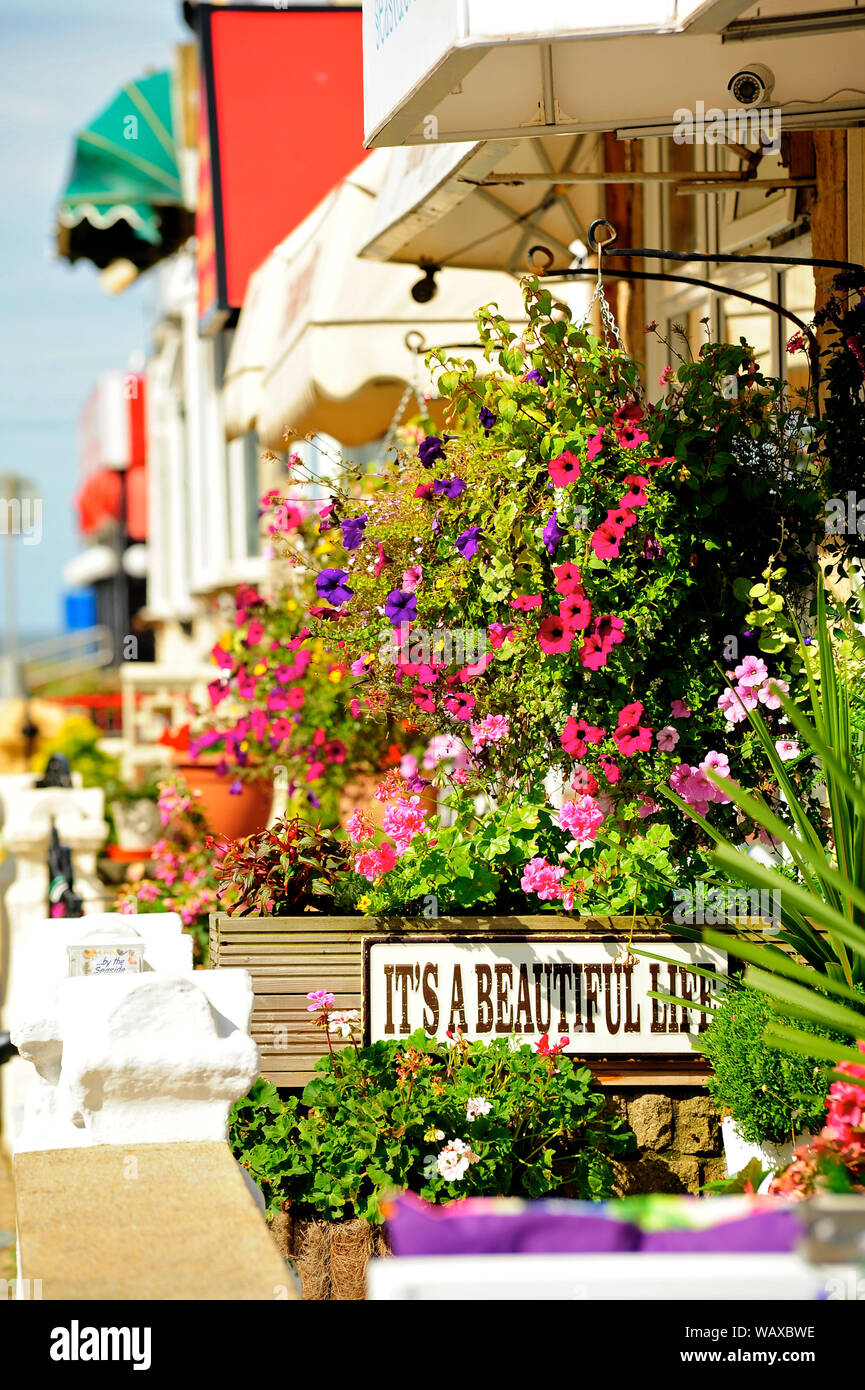 Colourful garden displays hi-res stock photography and images - Alamy