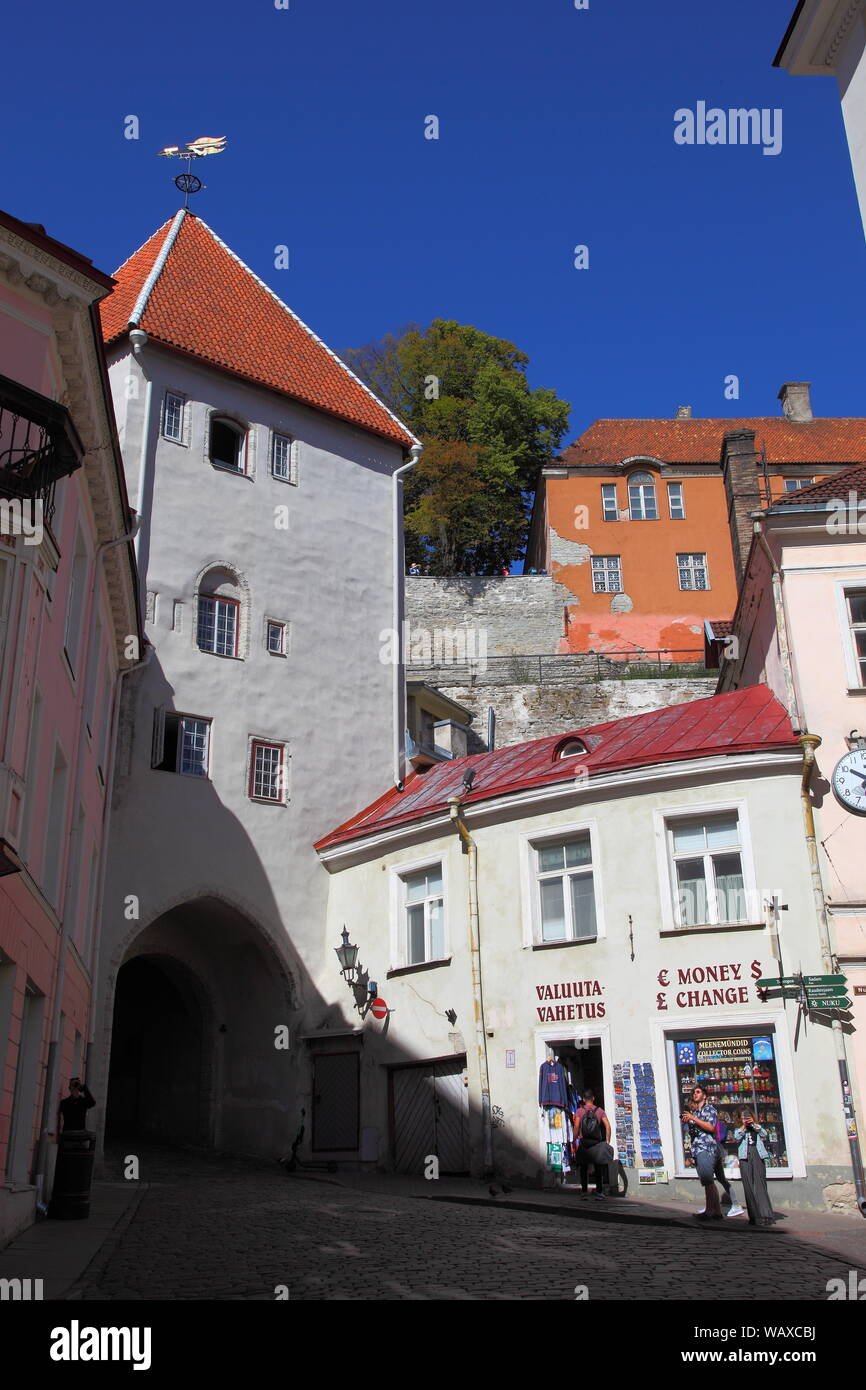 Long leg Gate Tower in Tallinn old town, Estonia Stock Photo - Alamy