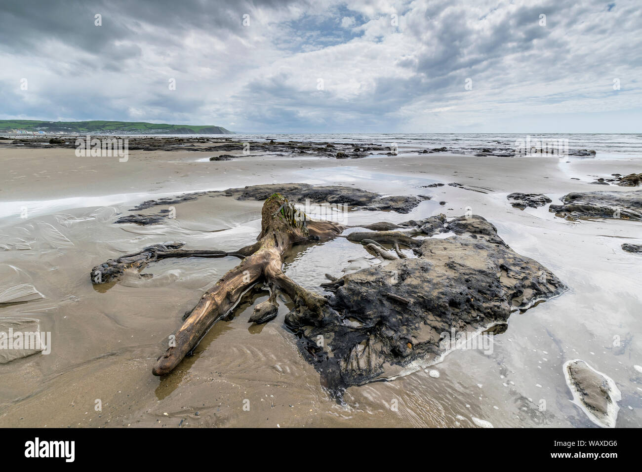 Borth beach on the Ceredigion coastal region of mid Wales showing the ...