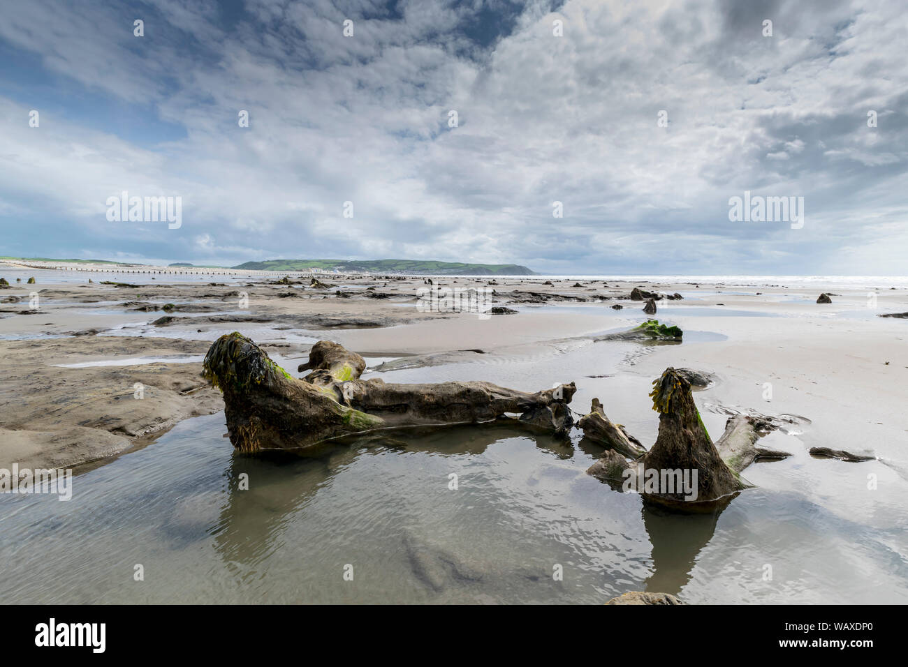 Borth beach on the Ceredigion coastal region of mid Wales showing the ...