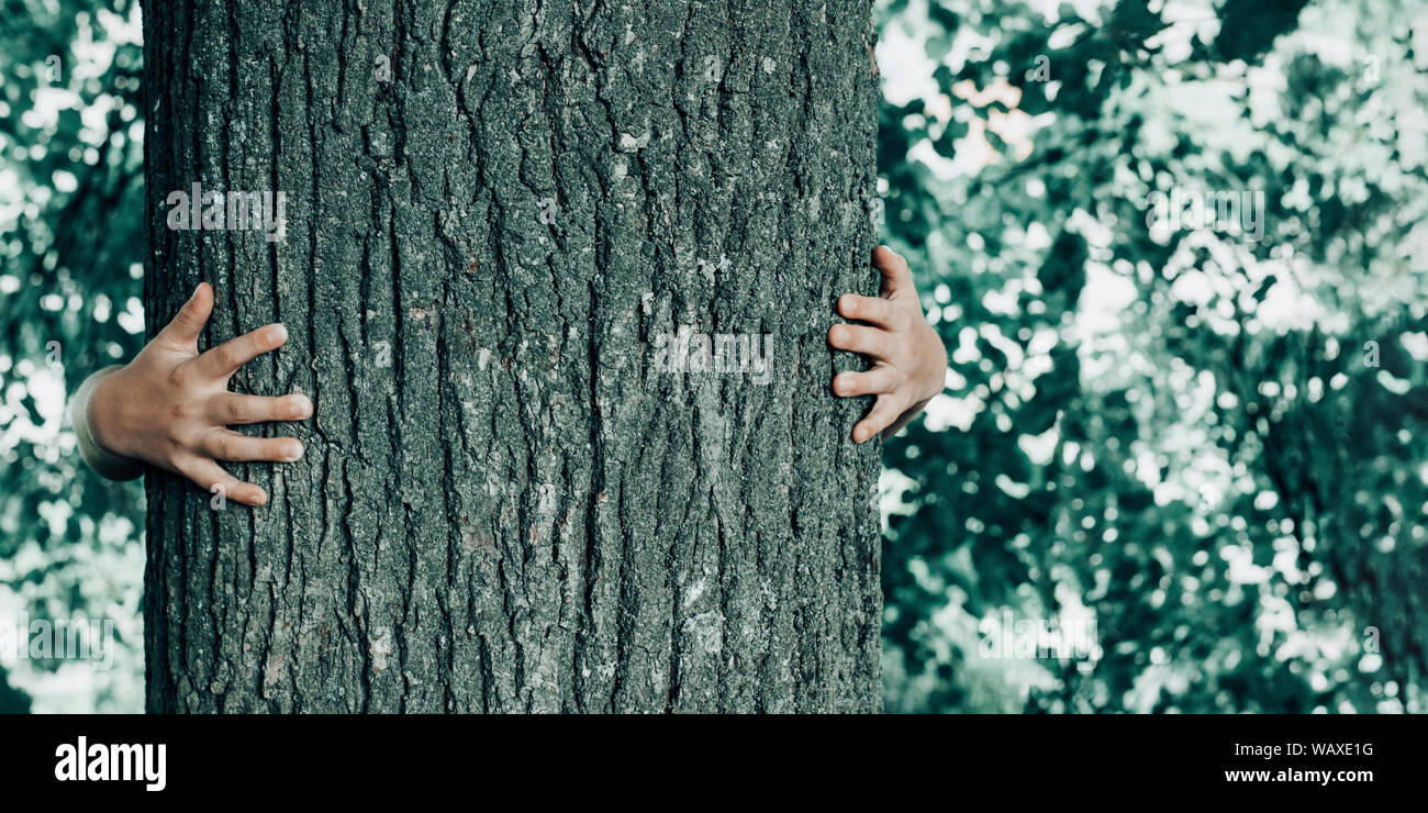 Kid's hands hugging tree. Child in park. Save planet concept with ...