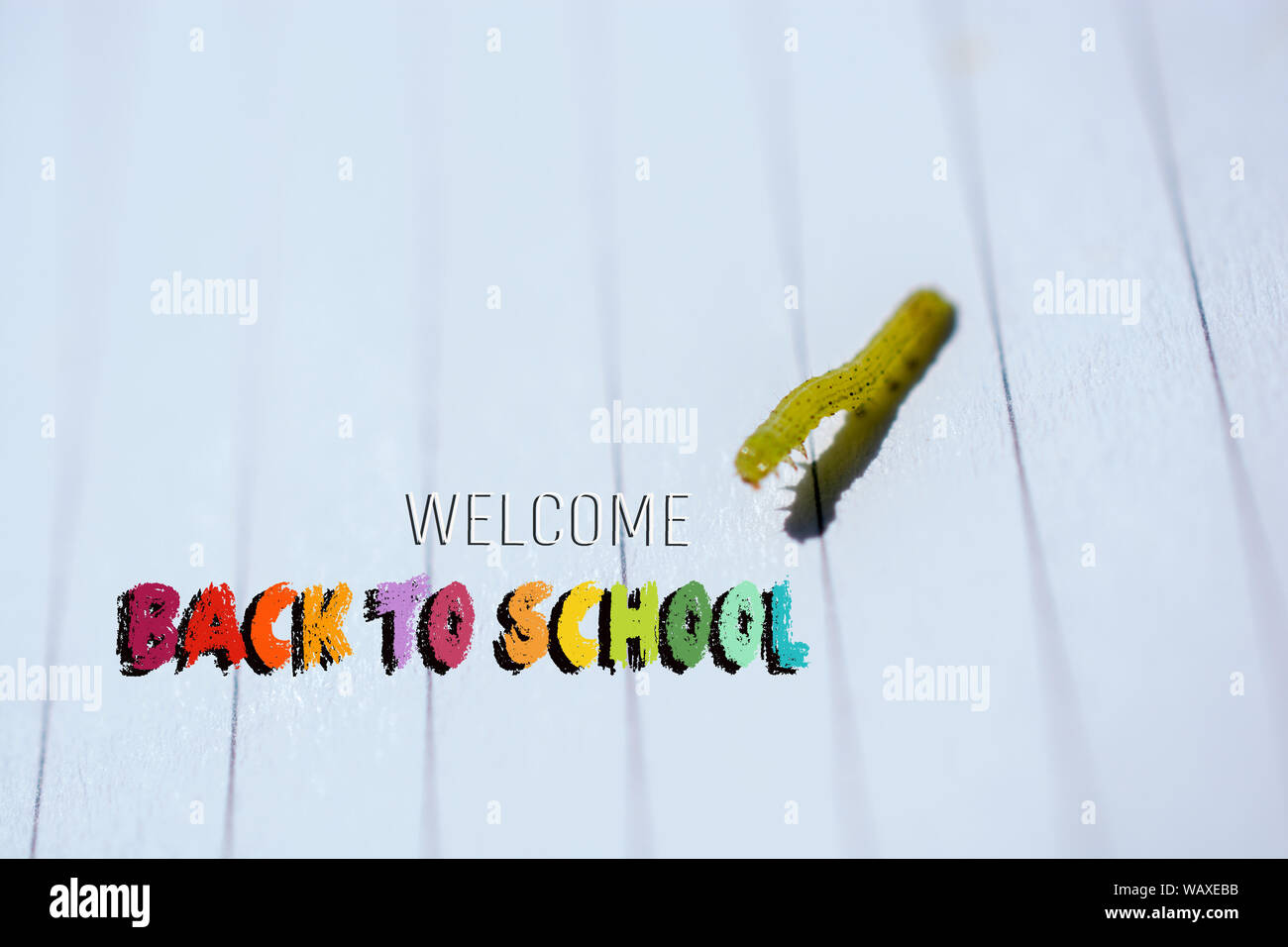 Back to school wording as education, teaching and learning concept ...