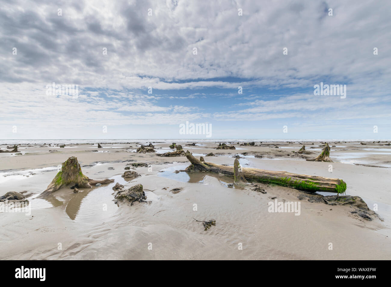 Borth beach on the Ceredigion coastal region of mid Wales showing the ...