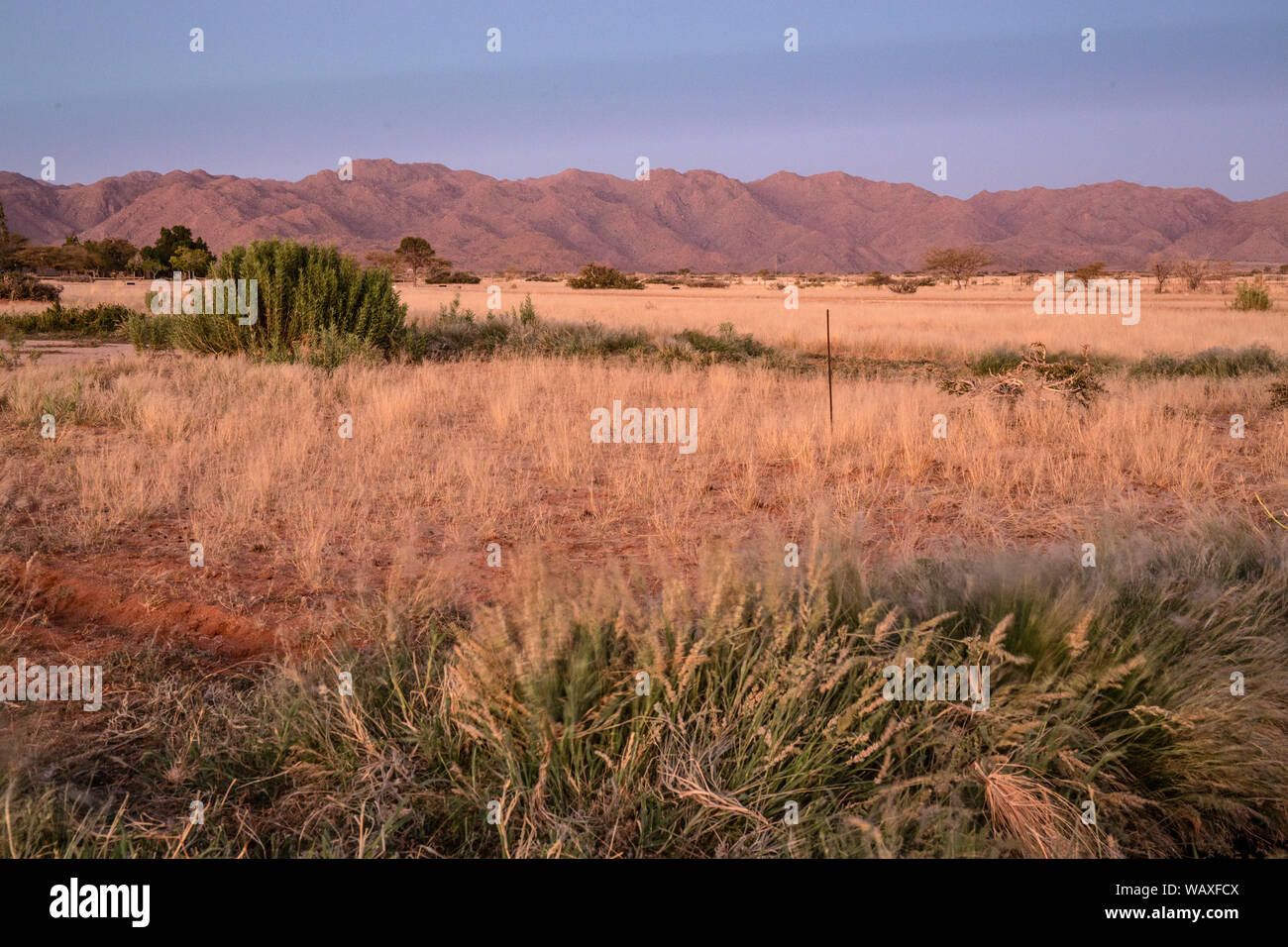 Nature, Landscape, Namibia, Sunset, Solitaire, Desert, 30077681 Stock ...
