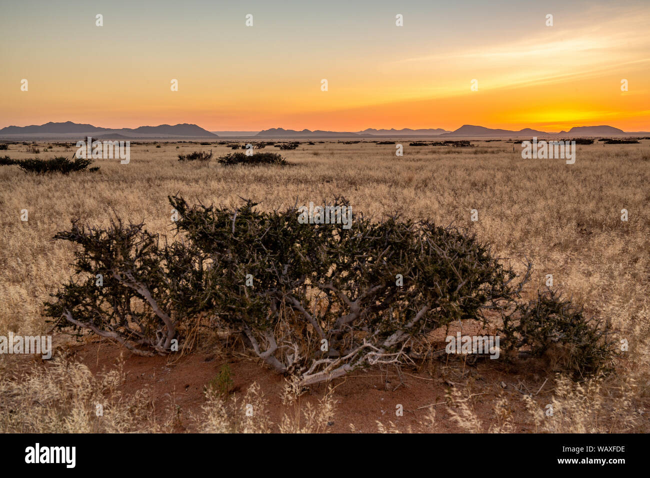 Nature, Landscape, Namibia, Sunset, Solitaire, Desert, 30077684 Stock ...