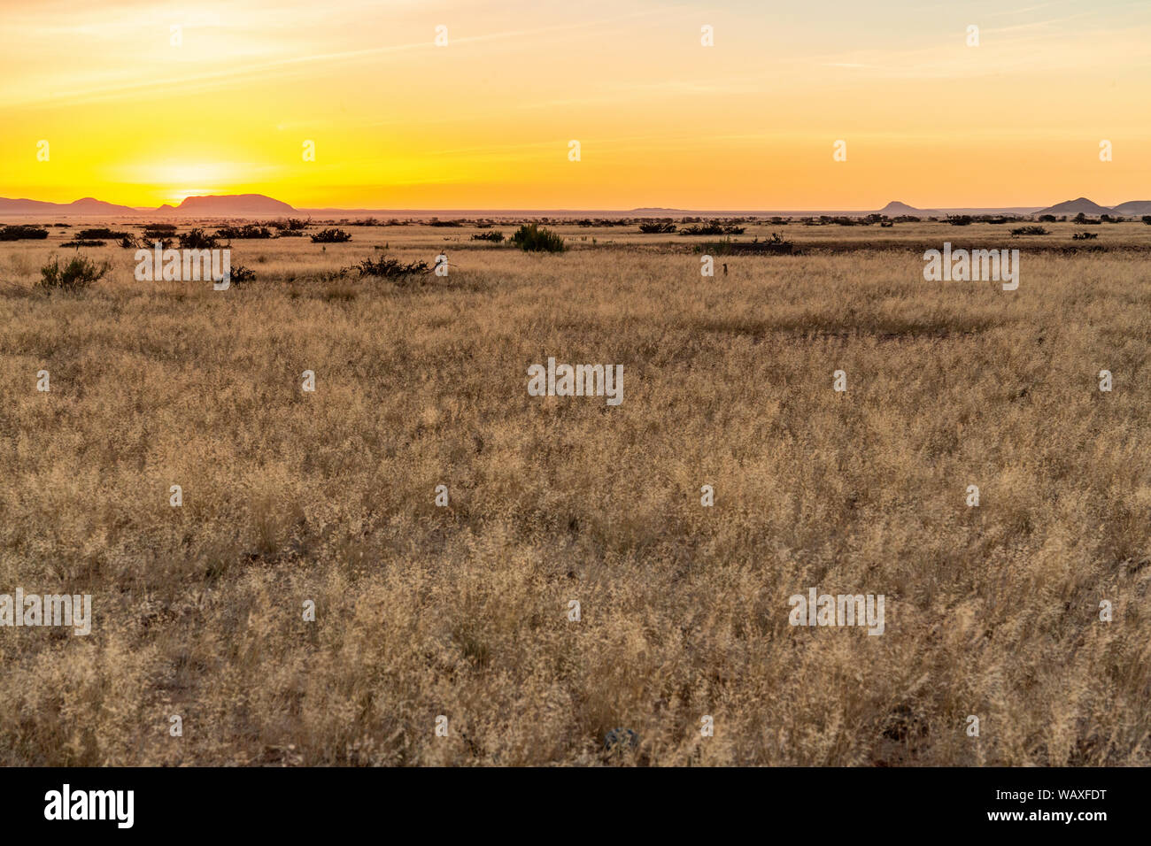 Nature, Landscape, Namibia, Sunset, Solitaire, Desert, 30077686 Stock ...