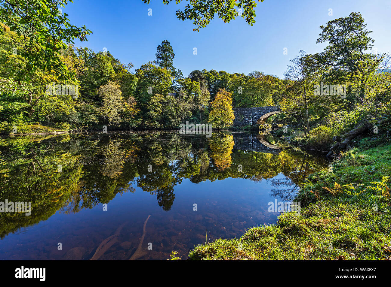 Afon (River) Conwy and Beaver Bridge in autumn near Betws-y-Coed ...