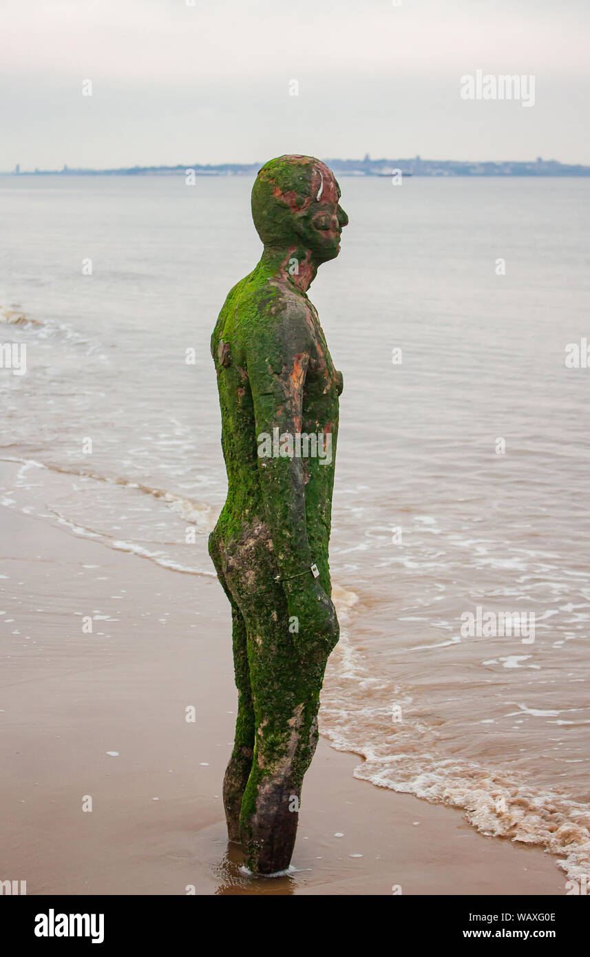 Summer snaps hi-res stock photography and images - Alamy