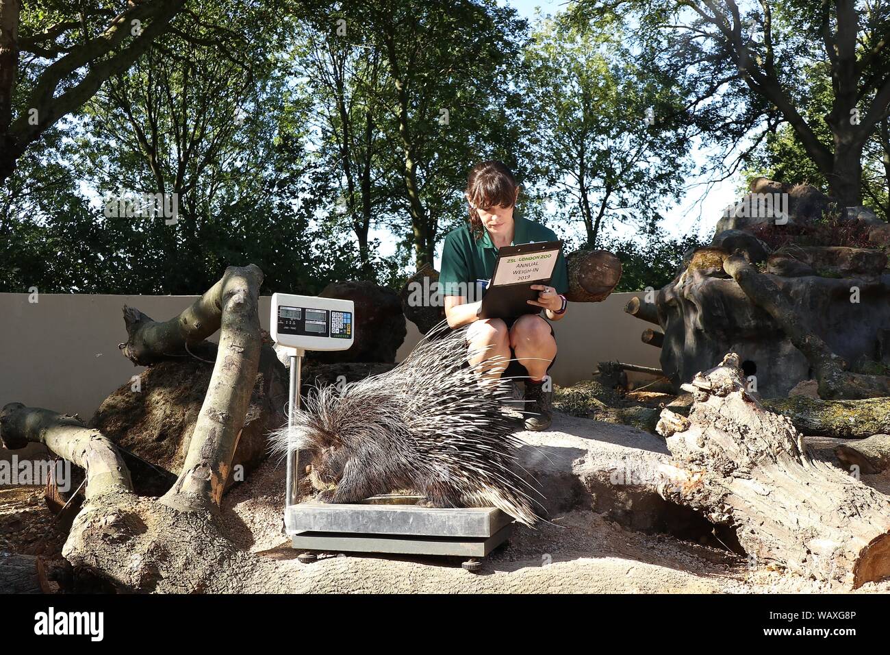 Annual weigh - in records animals vital statistics at ZSL London Zoo 22 ...