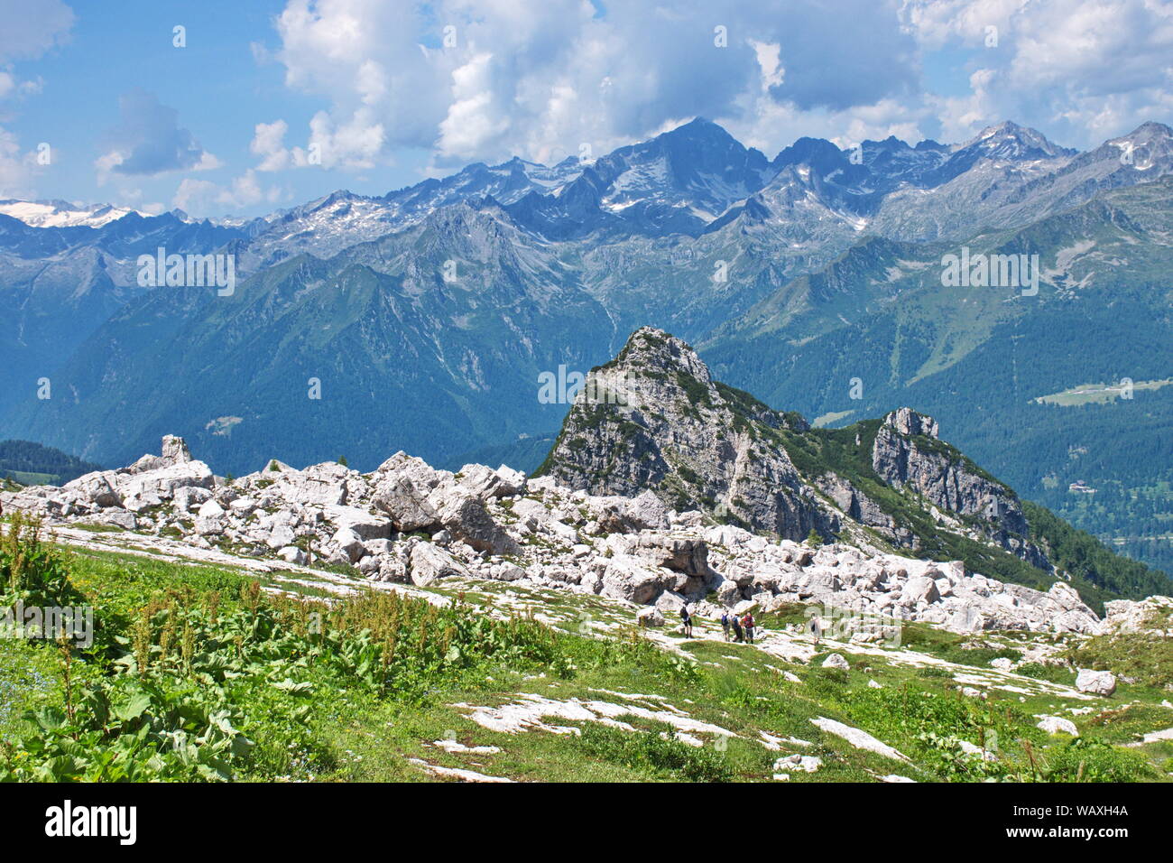 Scenic view of rocky landscape in Brenta Dolomites, Italy Stock Photo ...
