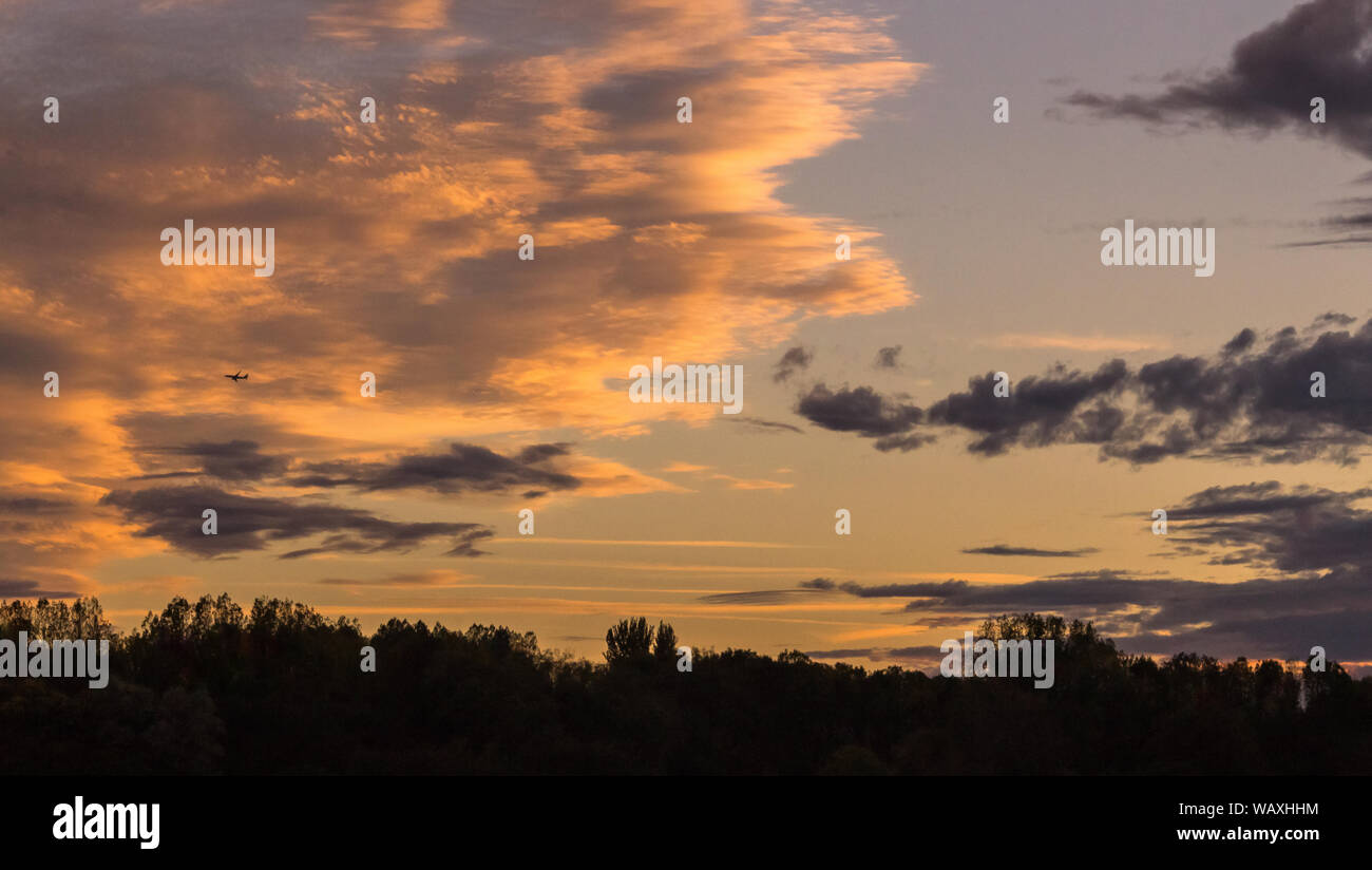 Wood at sunset hi-res stock photography and images - Alamy
