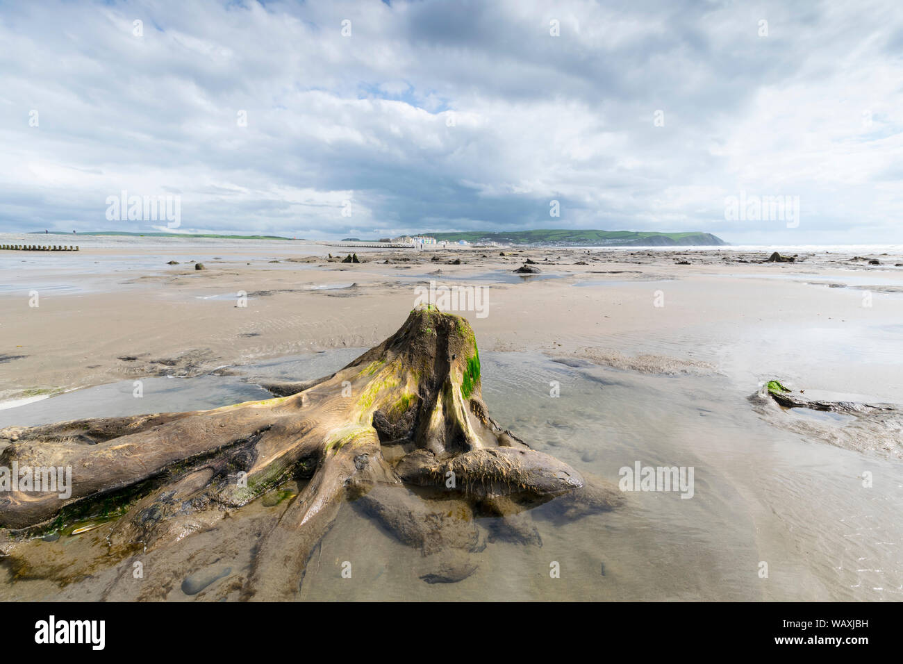 Borth beach on the Ceredigion coastal region of mid Wales showing the ...