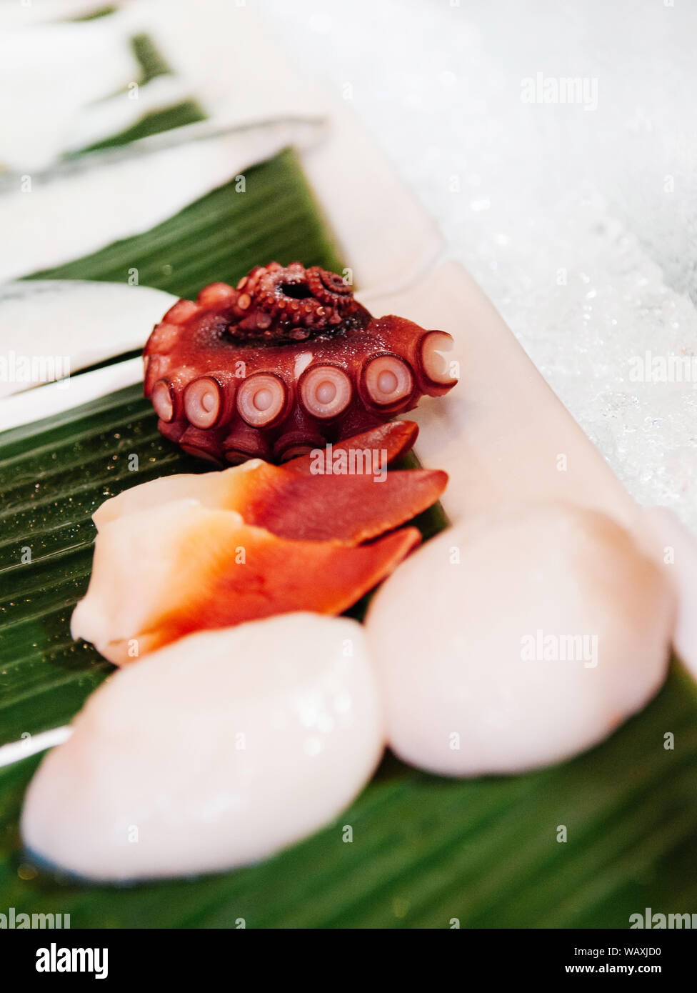 Fresh seafood Octopus Tako and Hokkigai stimpson surf clam on ice for ...