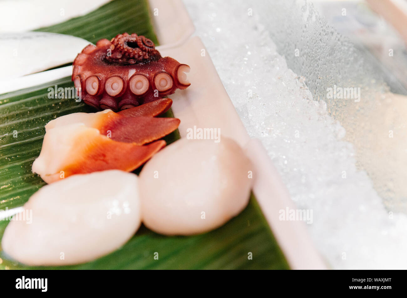 Fresh seafood Octopus Tako and Hokkigai stimpson surf clam on ice for ...