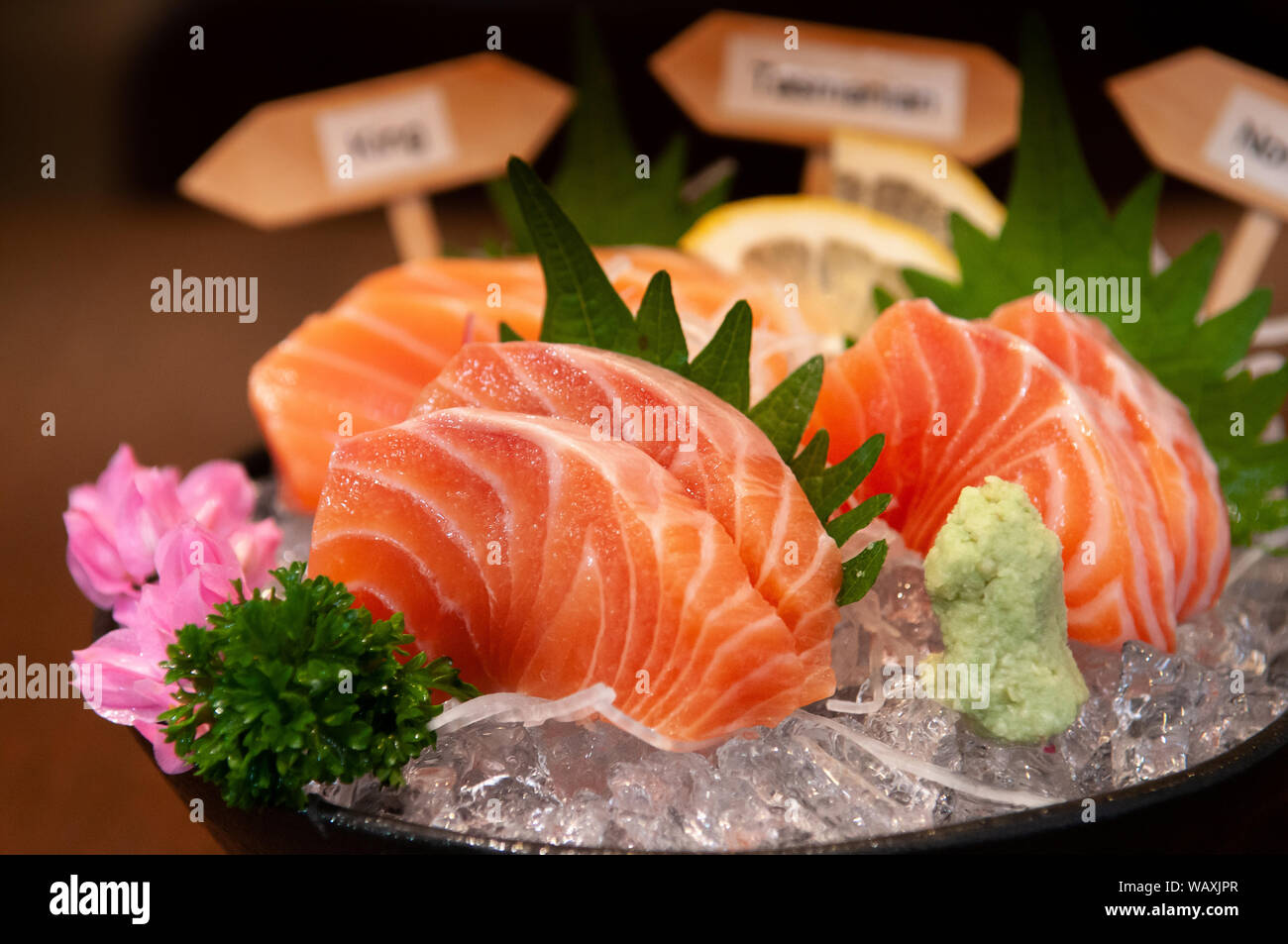 Premium Japanese Salmon Sashimi King Salmon, Tasmanian salmon, Norway ...