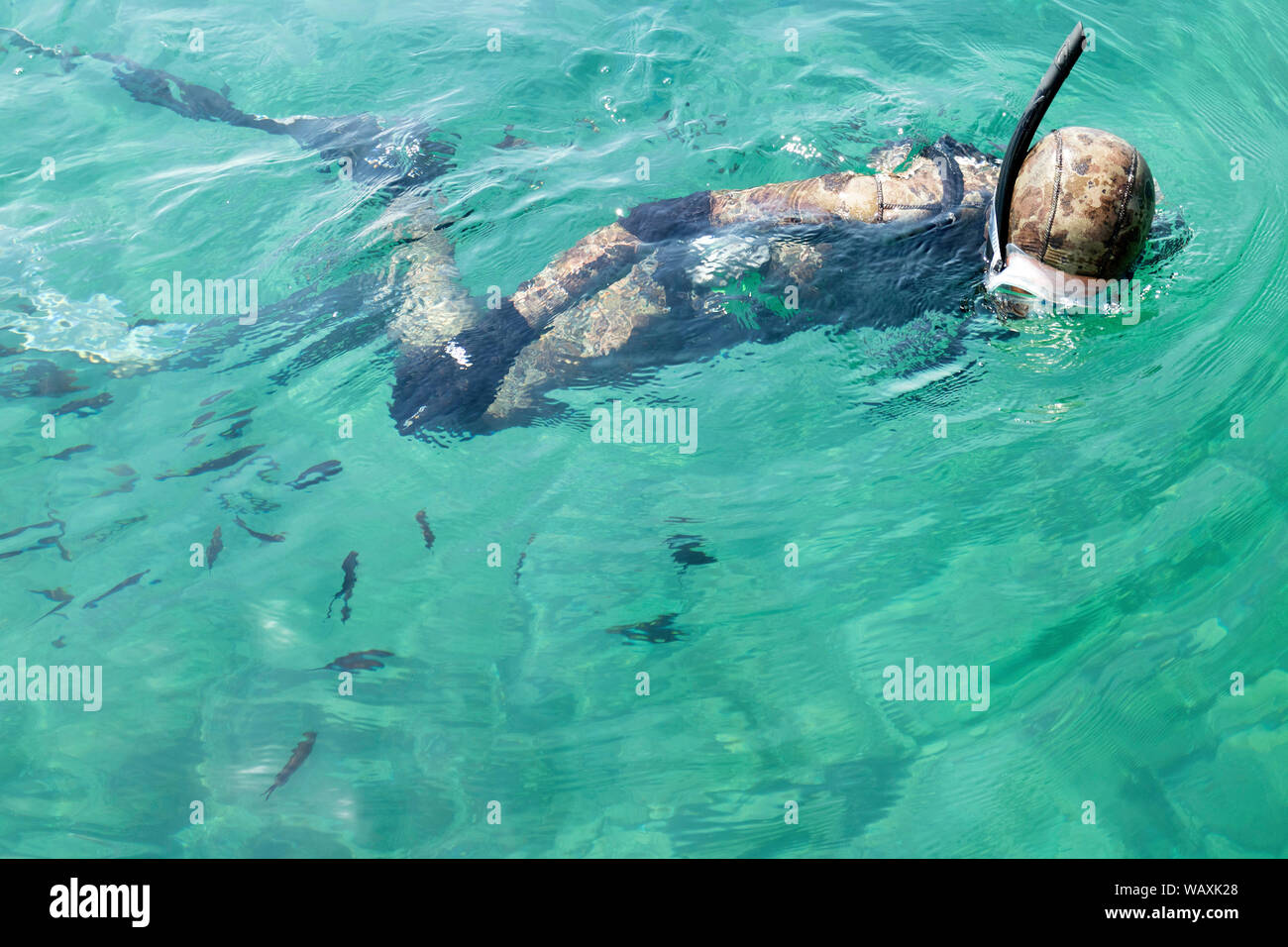 Scuba diving greece hi-res stock photography and images - Alamy