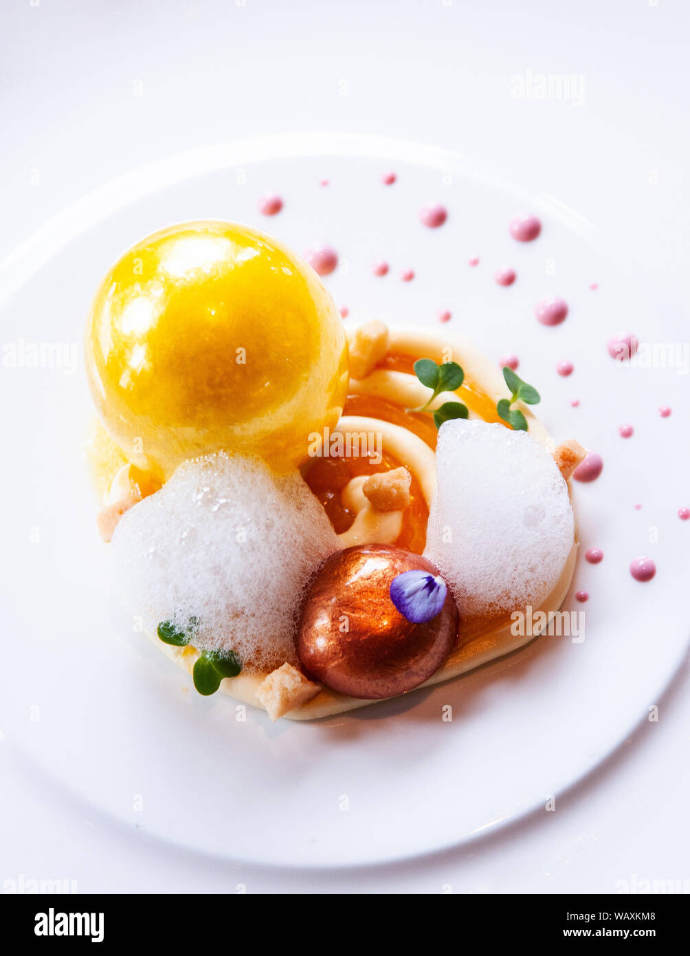 Molecular gastronomy creativity modern cuisine, beautiful creativity ...