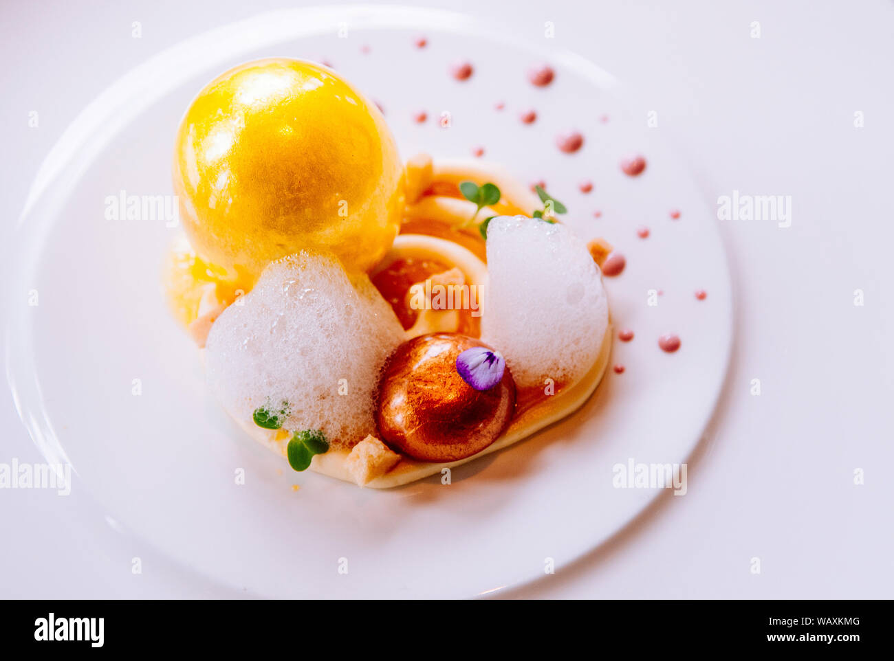Molecular gastronomy creativity modern cuisine, beautiful creativity ...