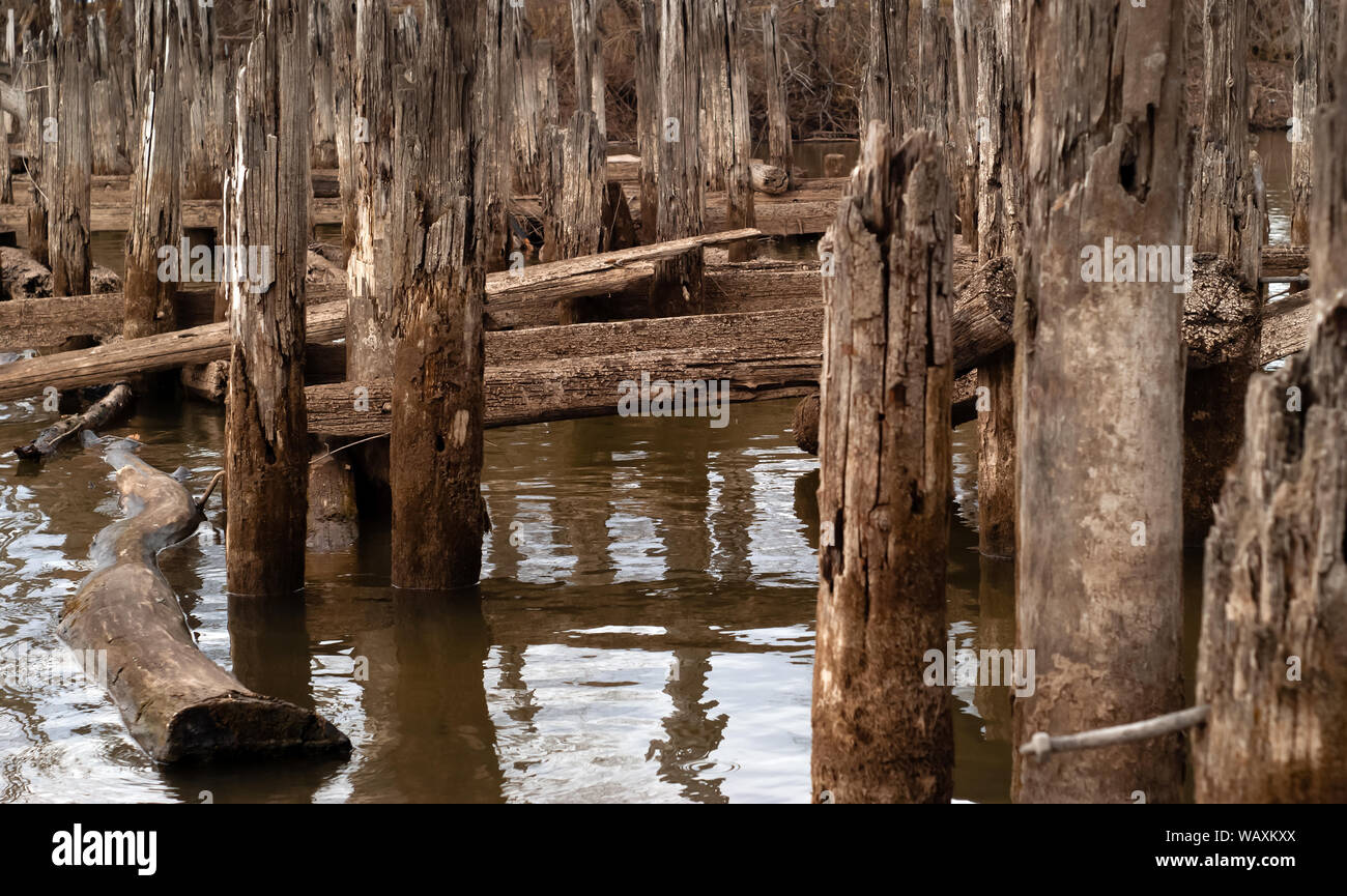 landscape with fragments of wooden piles of old destroyed bridge close ...