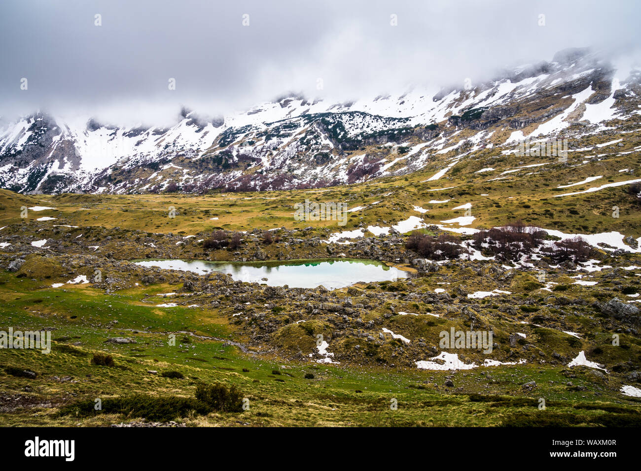 Montenegro, Glassy water of valovito jezero lake, a small tarn next to ...