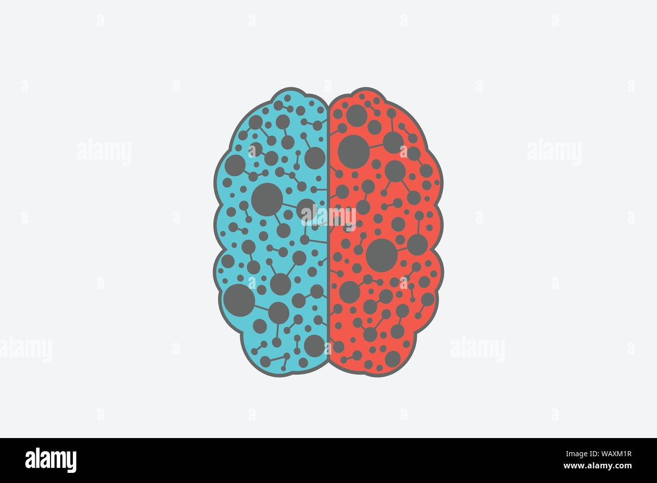 Left and right cerebral hemispheres hi-res stock photography and images ...
