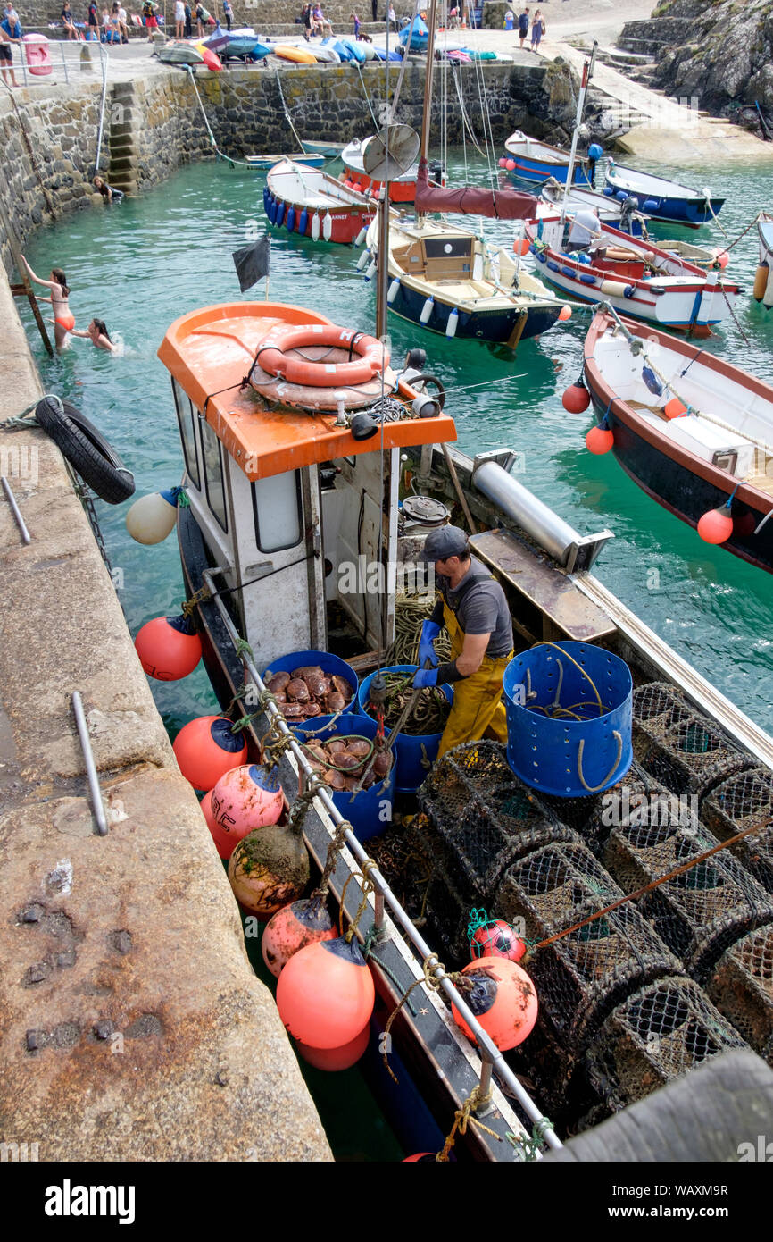 Unloading the catch. Fresh crabs in the Cornish Vilage of coverack on ...
