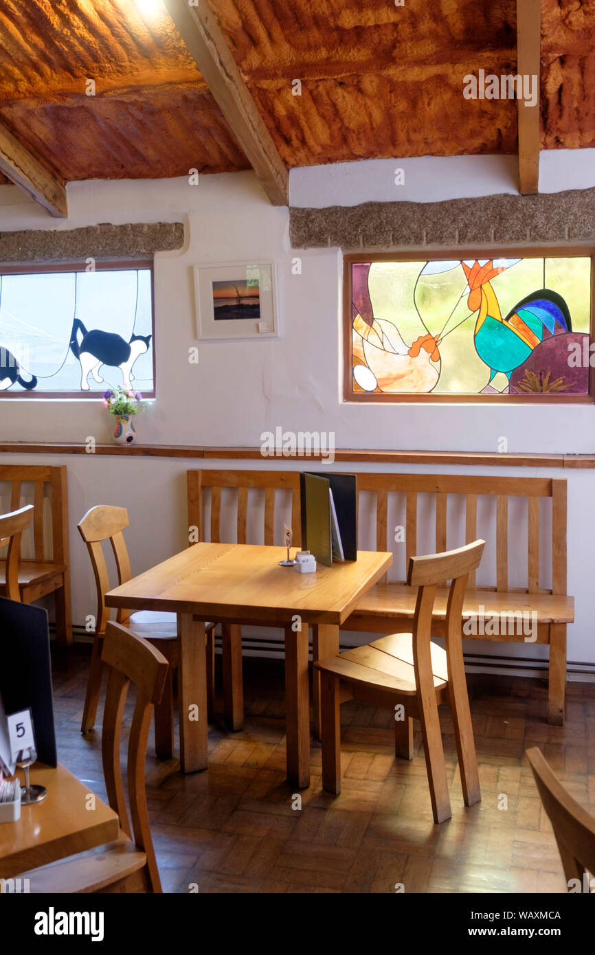 Roskilly’s lizard hi-res stock photography and images - Alamy