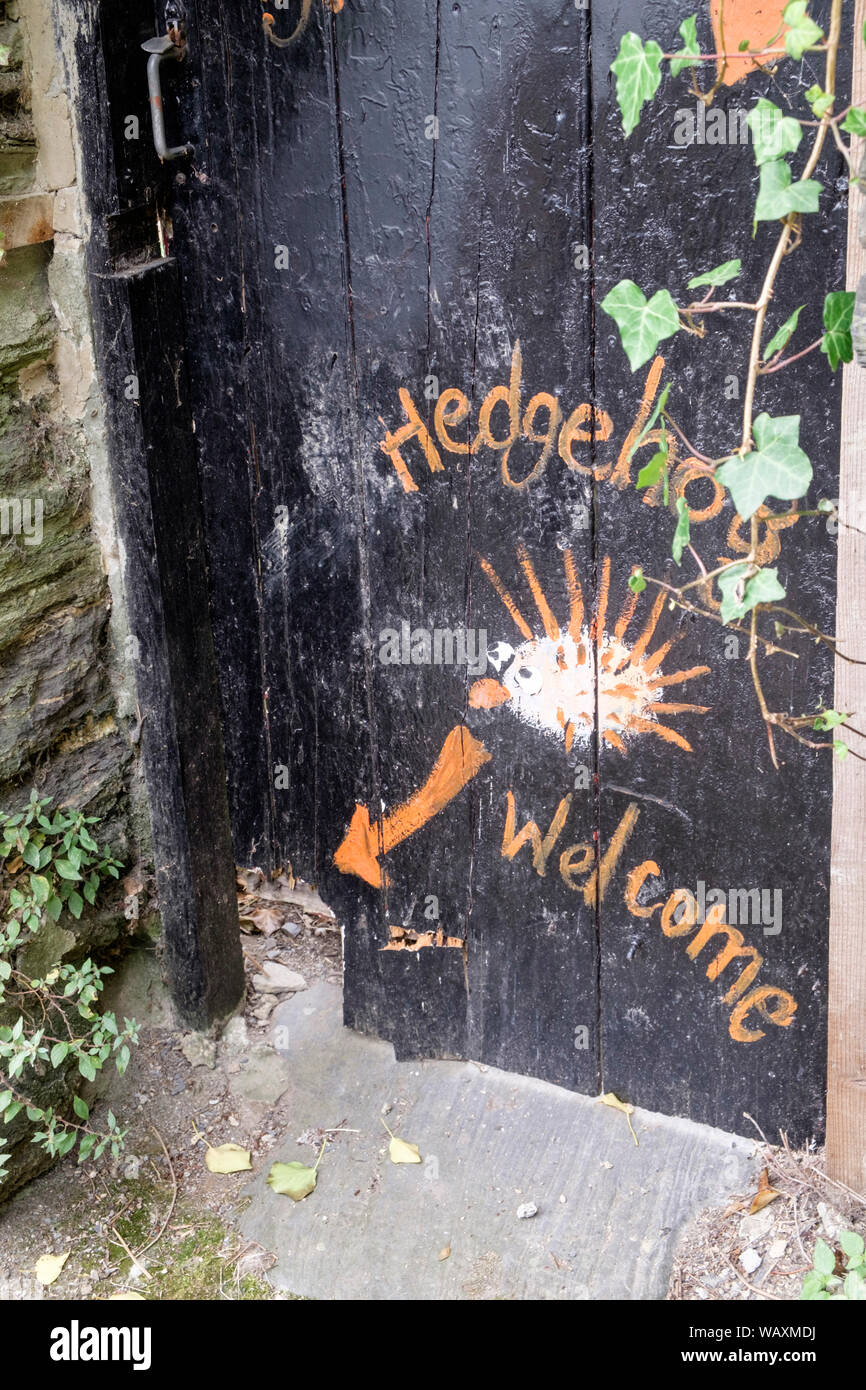 Hedgehog highway hi-res stock photography and images - Alamy