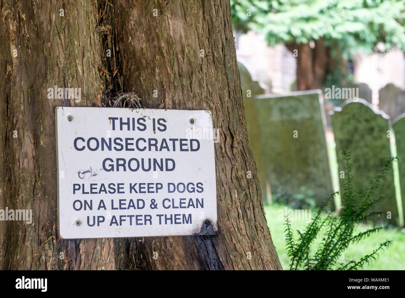 Consecrated Ground Sign in the churchyard of St Mary Magdalene Church ...