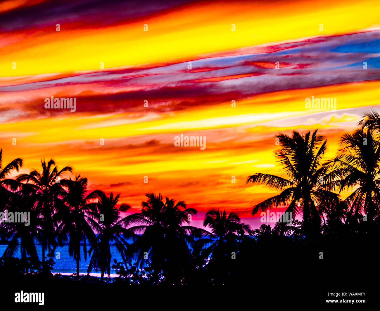 Multi-color clouds at Sunset silhouette with palm trees in Costa Rica ...