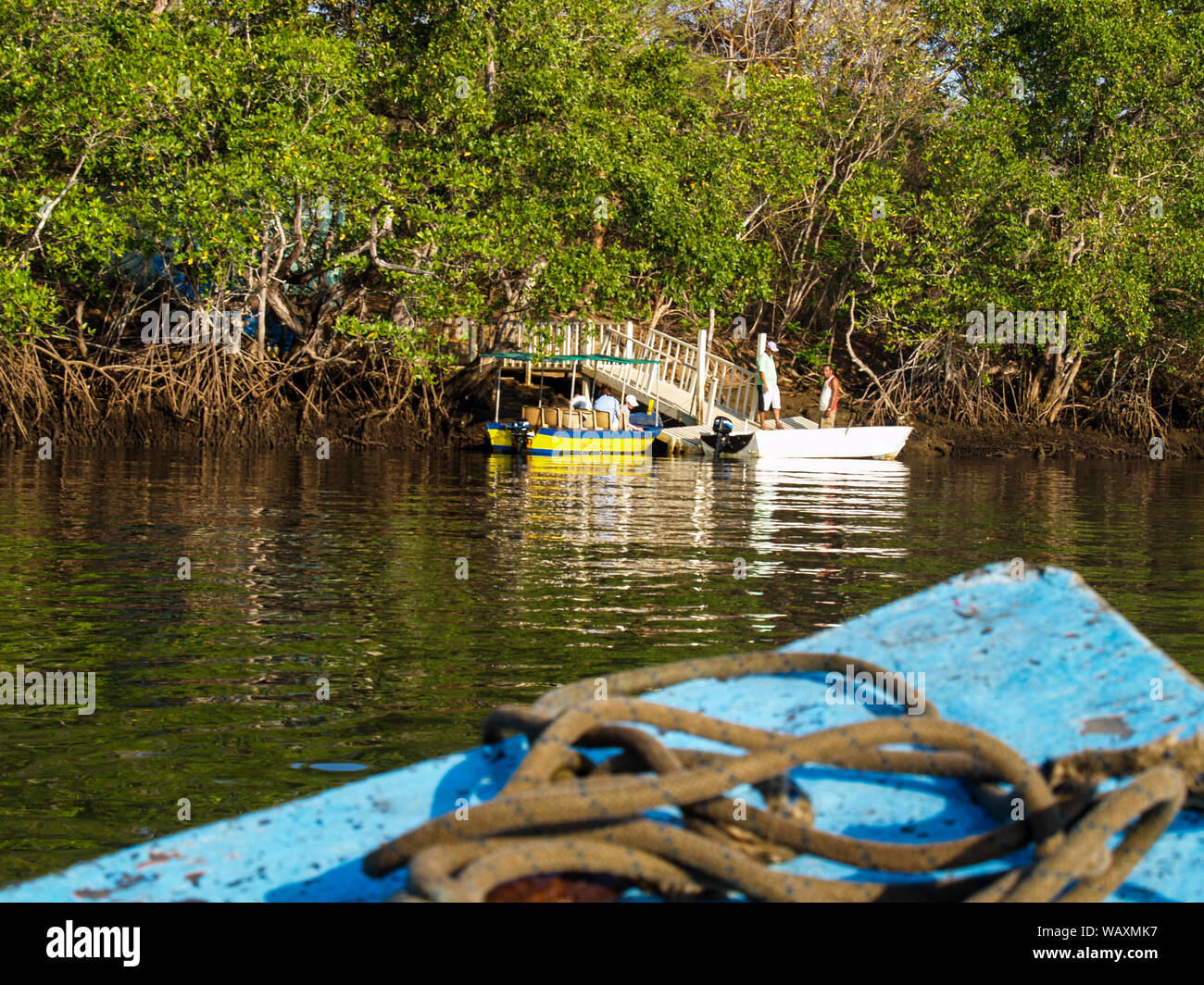 Tamarindo River, Costa Rica Stock Photo - Alamy