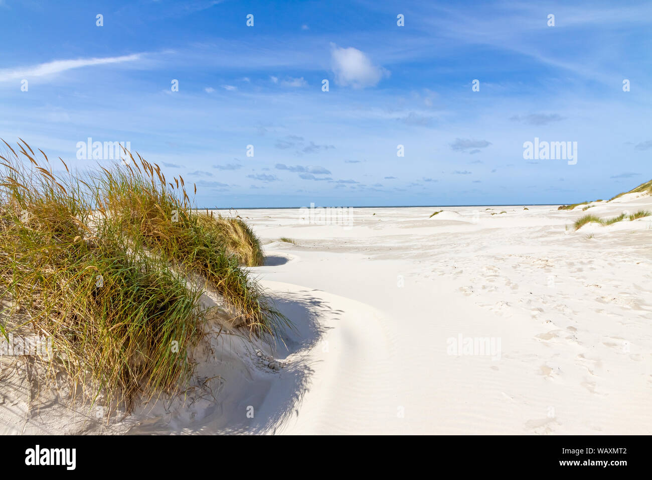 Amrum germany landscape hi-res stock photography and images - Alamy