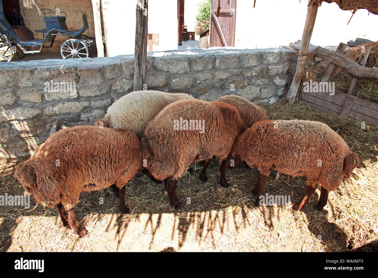 Qala village hi-res stock photography and images - Alamy