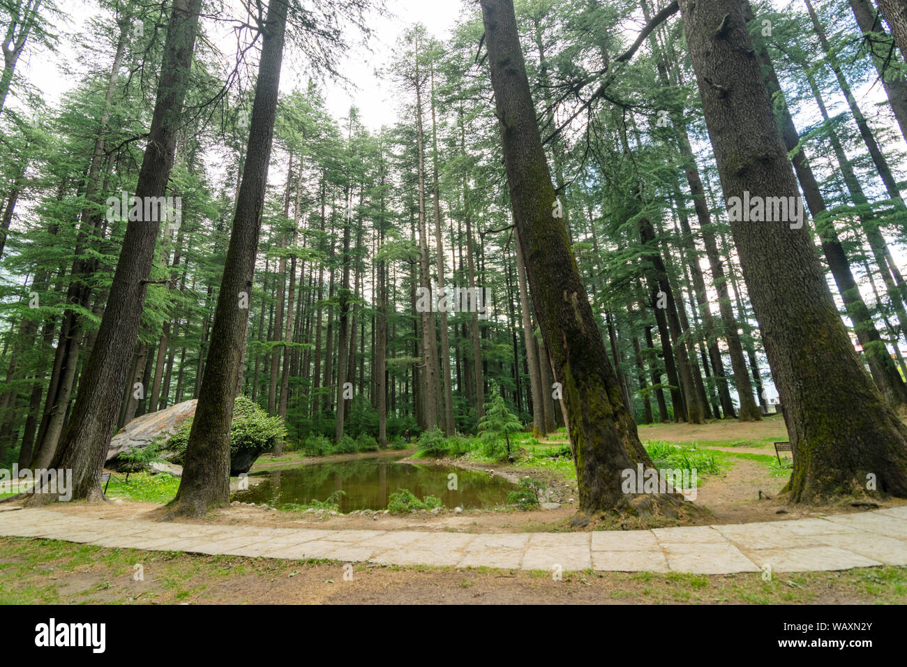Hindu temple in forest himalayan hi-res stock photography and images ...