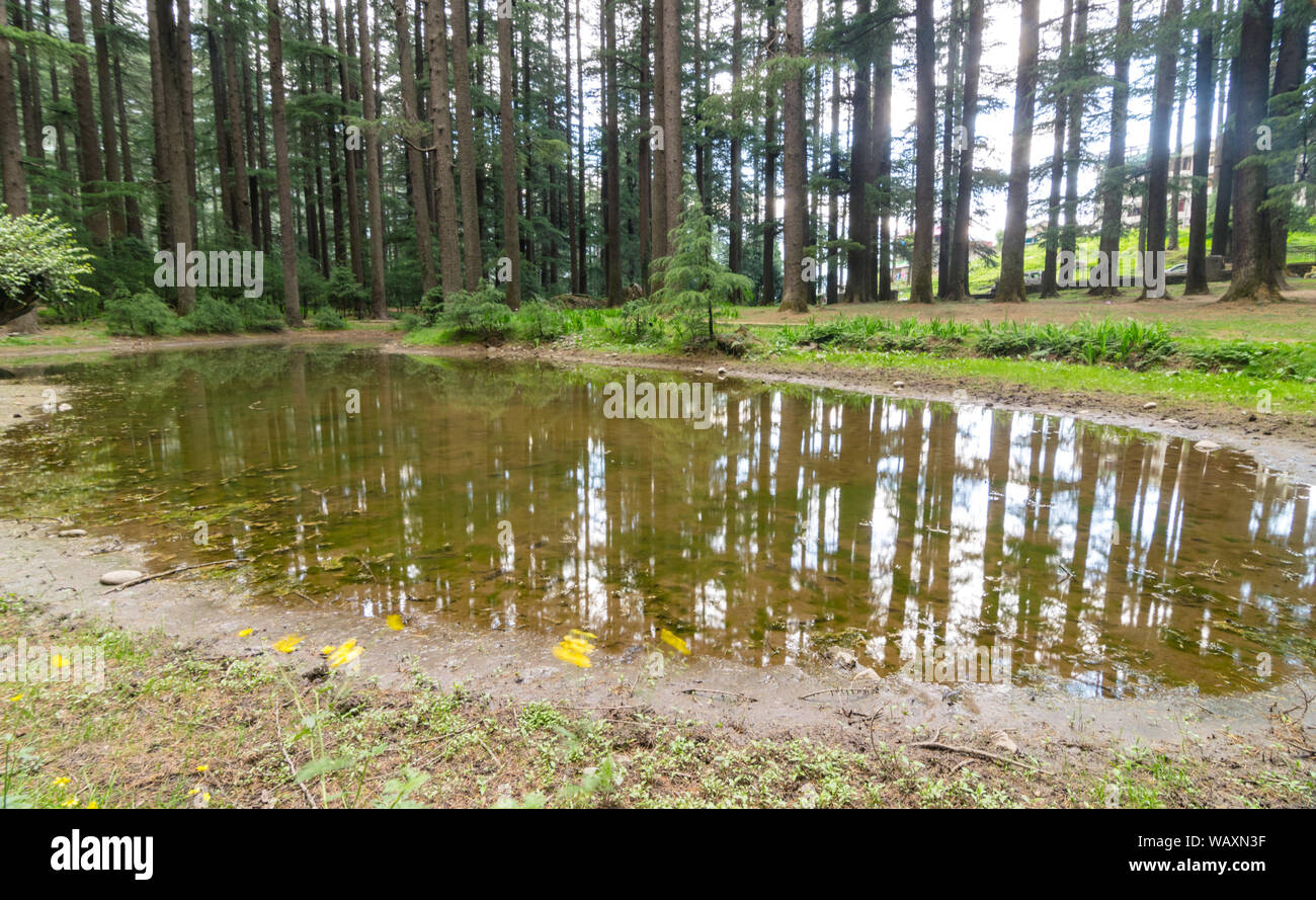 Van Vihar Forest in Manali Stock Photo - Alamy
