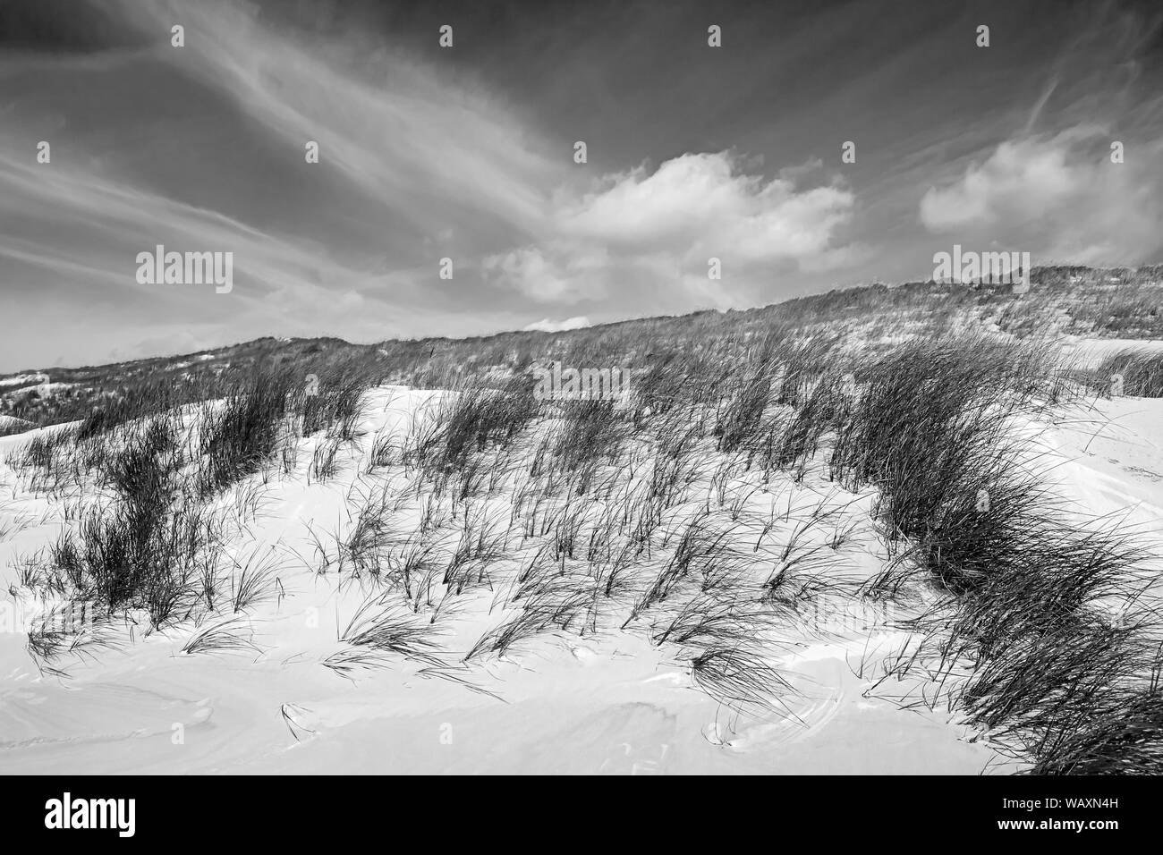 Timeless monochrome landscape Black and White Stock Photos & Images - Alamy